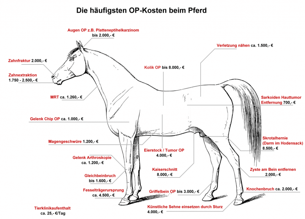 Uelzener Op Versicherung Pferd Premium Leistungen